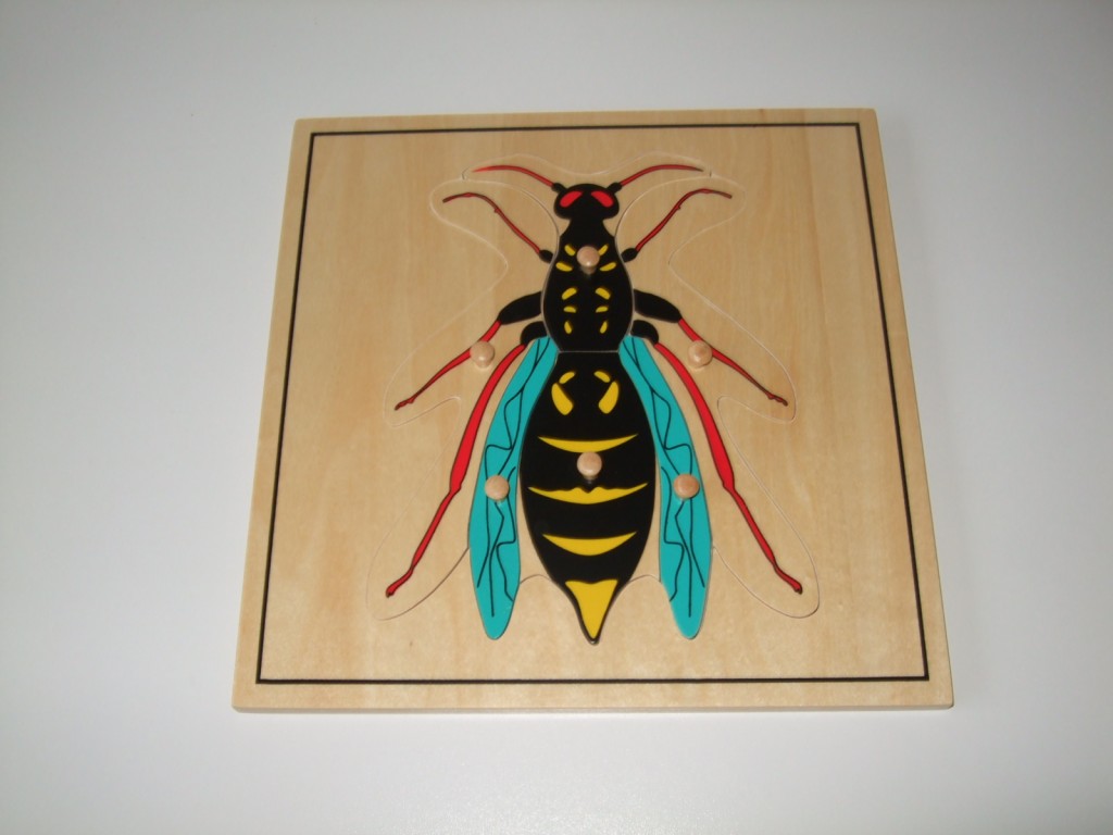 Wasp Puzzle | Montessori Pre-School Supplies