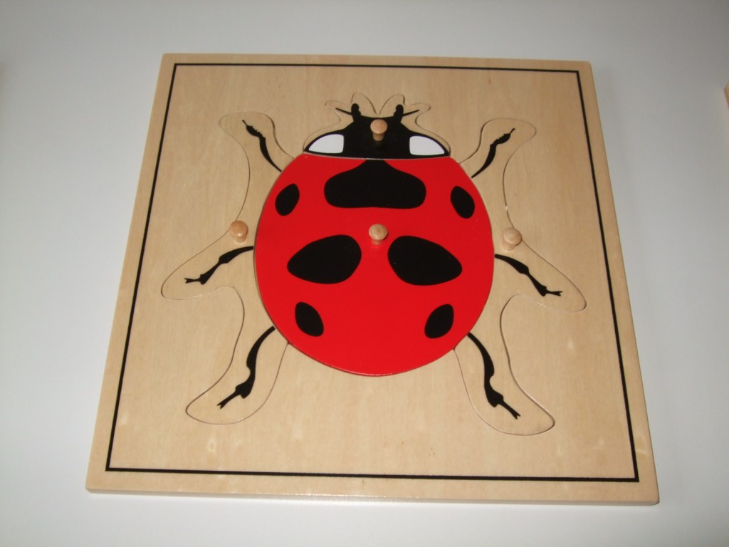 Ladybird Puzzle | Montessori Pre-School Supplies