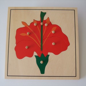 Botany leaf cabinet with insets | Montessori Pre-School Supplies