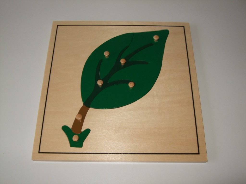Leaf puzzle | Montessori Pre-School Supplies