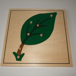 Botany leaf cabinet with insets | Montessori Pre-School Supplies