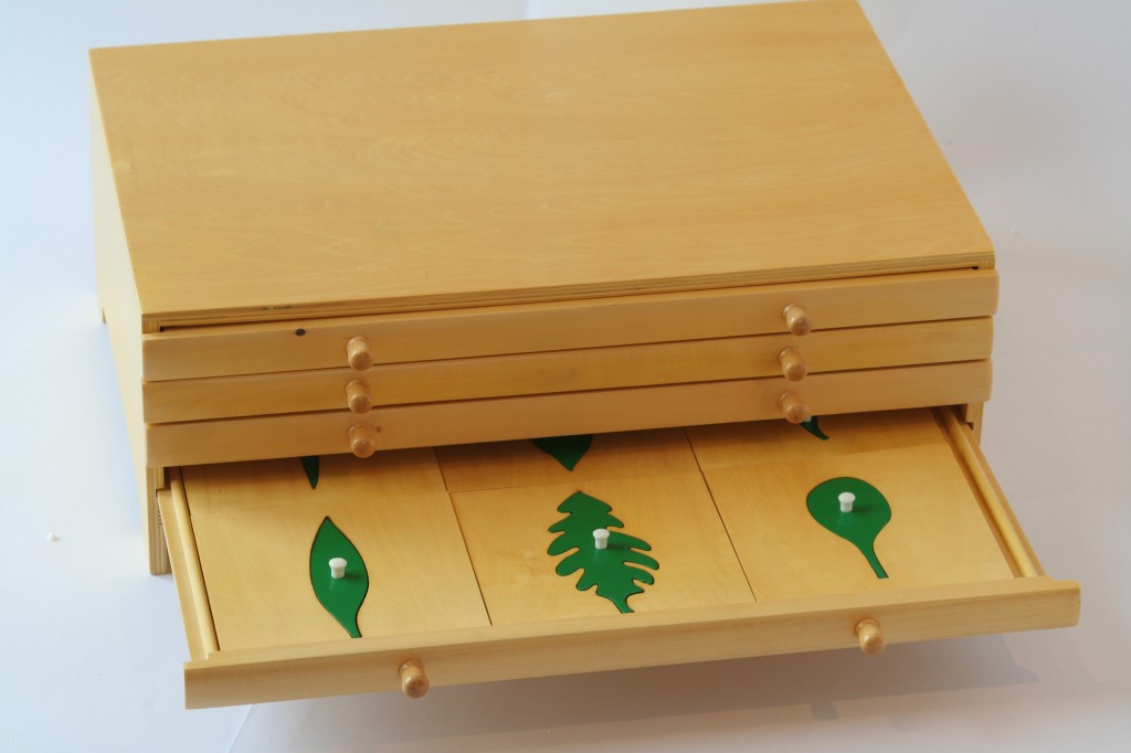Botany leaf cabinet with insets | Montessori Pre-School Supplies