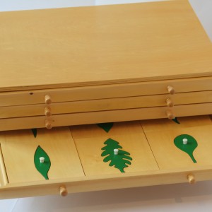 Botany Cabinet Control Chart (18 Insets) | Montessori Pre-School Supplies
