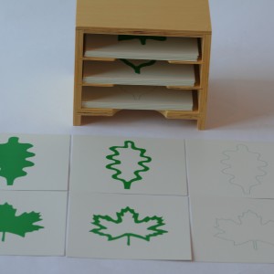 Botany leaf cabinet with insets | Montessori Pre-School Supplies