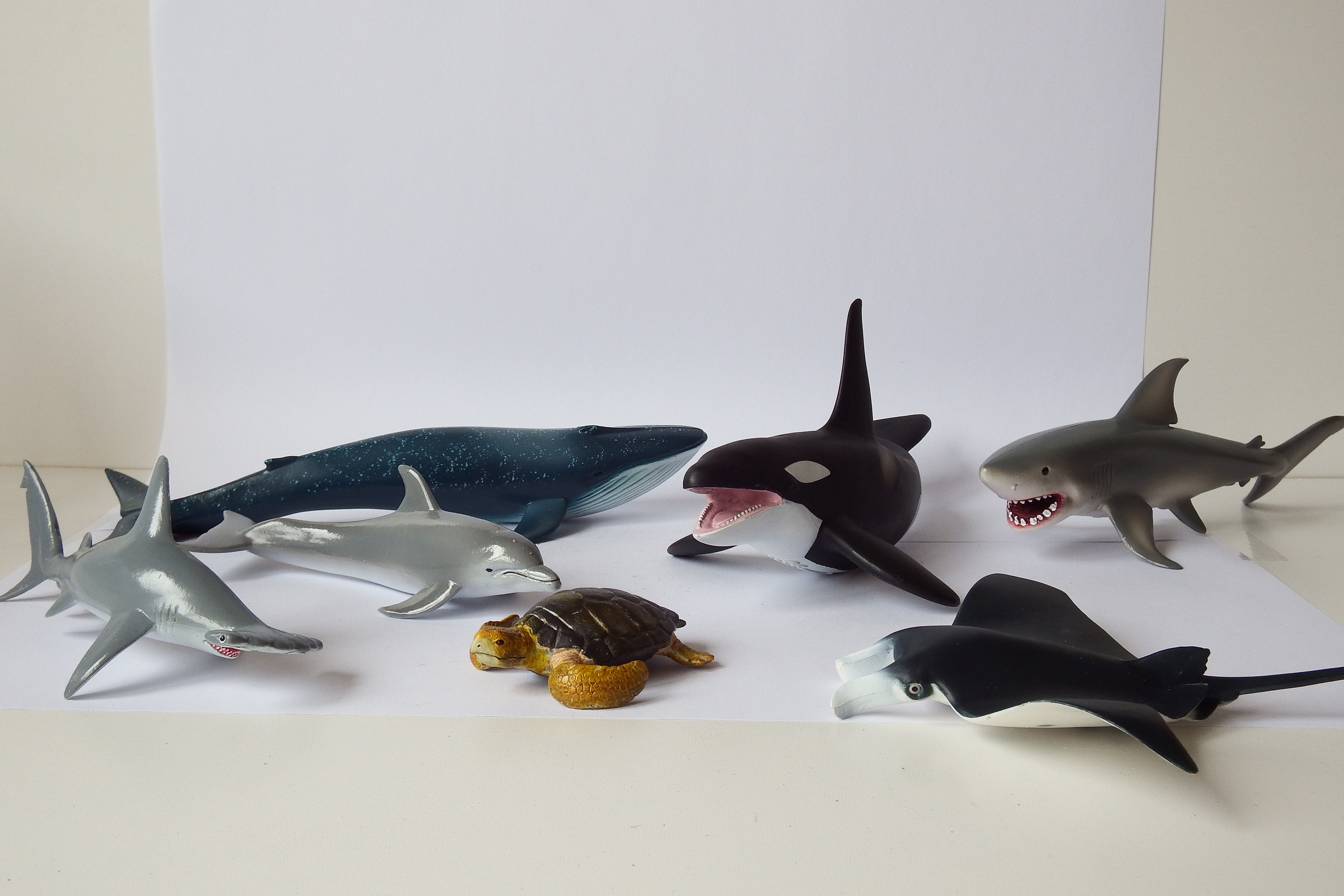 Oceans collection | Montessori Pre-School Supplies