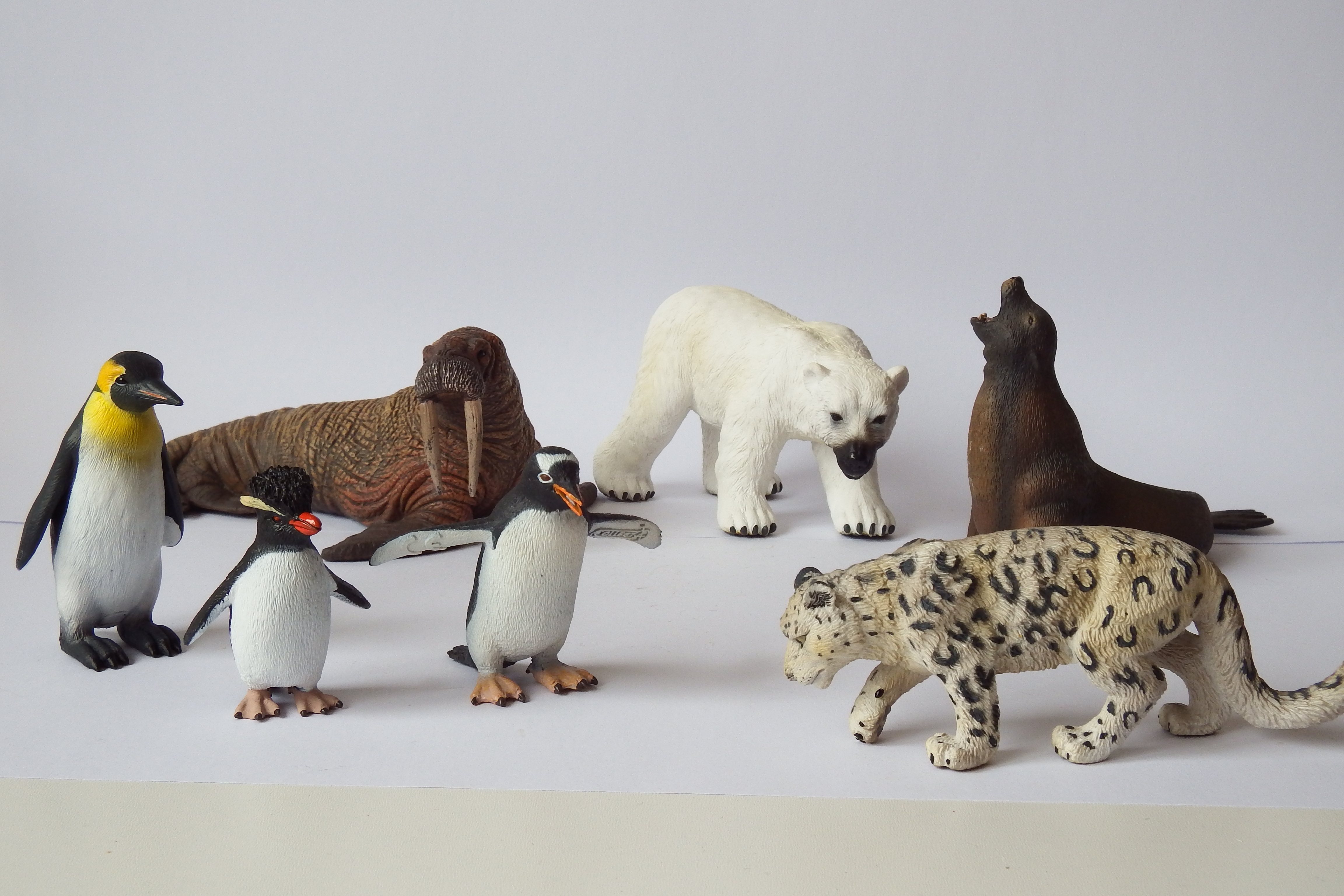 Polar collection | Montessori Pre-School Supplies