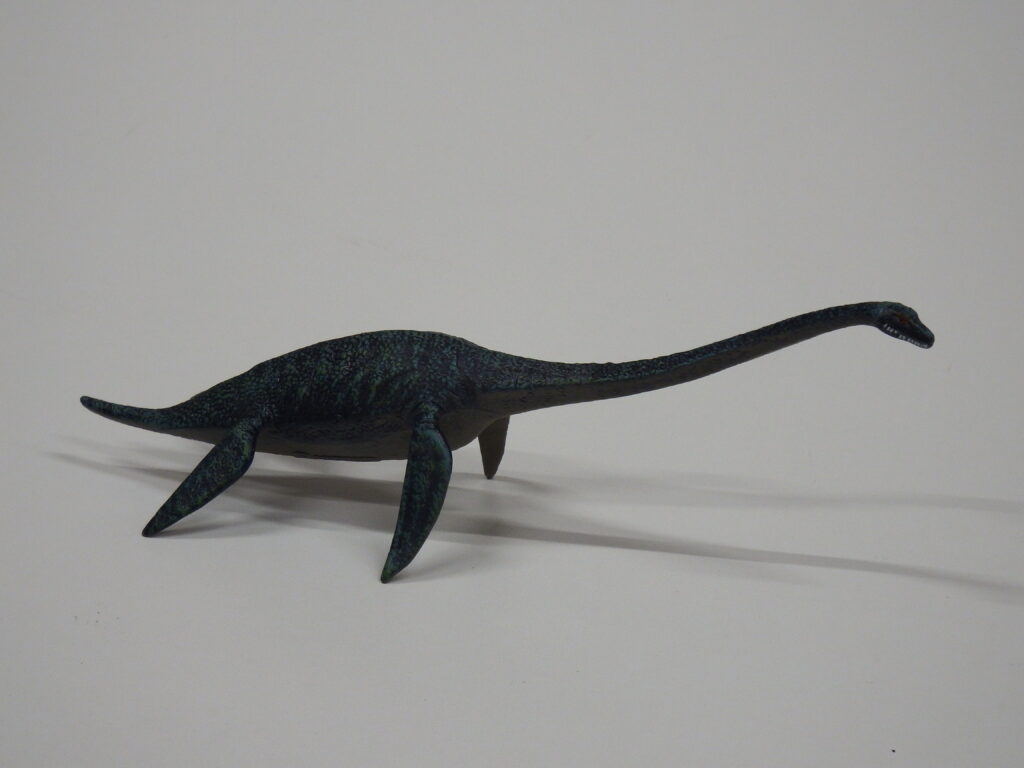 Hydrotherosaurus L 19 H 6 cm | Montessori Pre-School Supplies