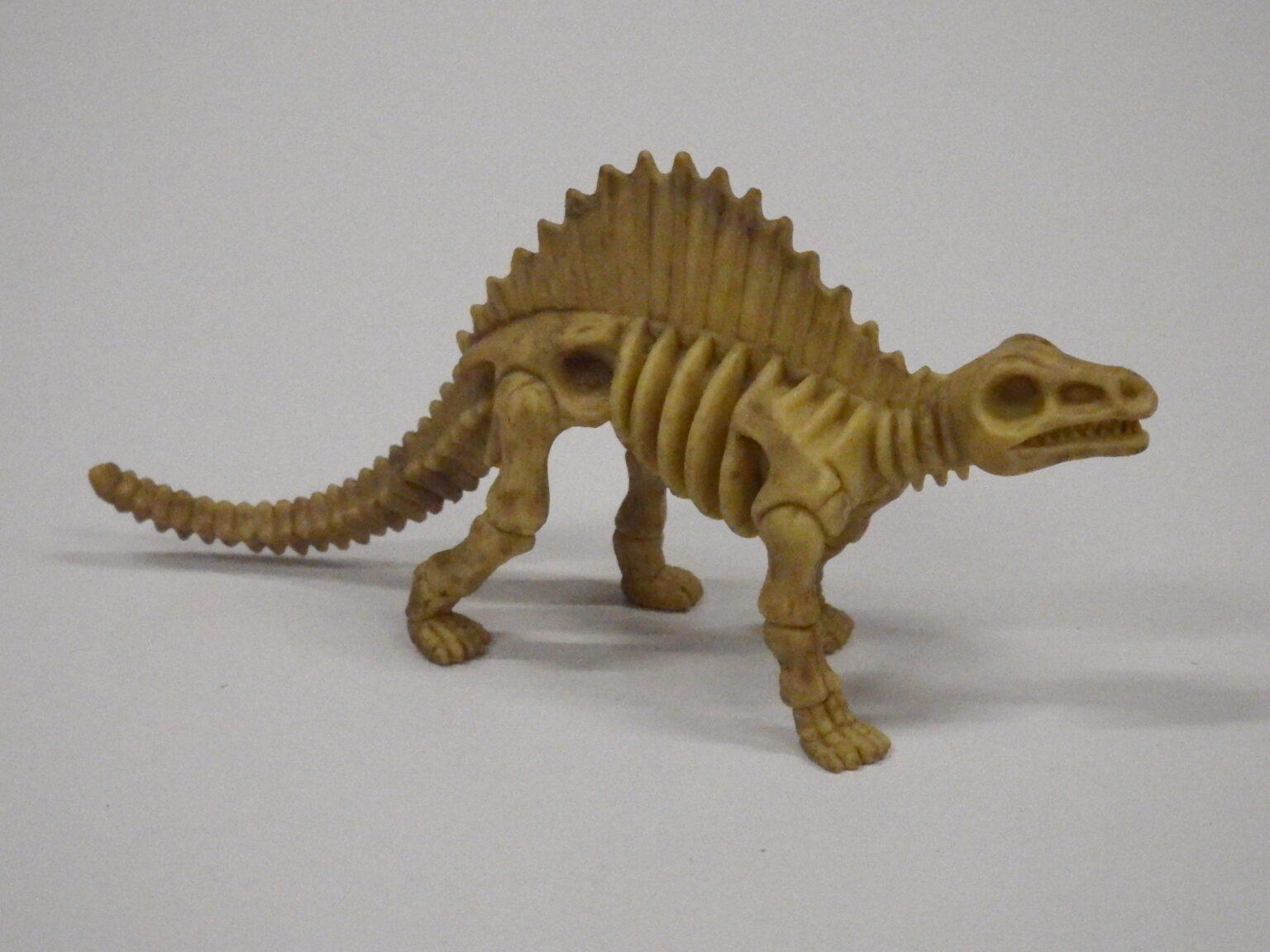Dimetrodon skeleton model (14L x 7H cm) | Montessori Pre-School Supplies